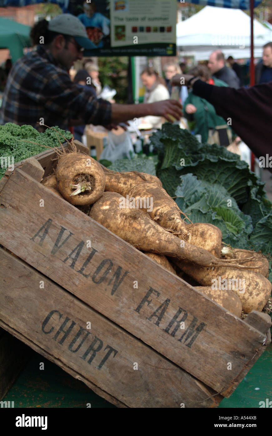 organic turnips on stall at farmers market stall Stock Photo - Alamy