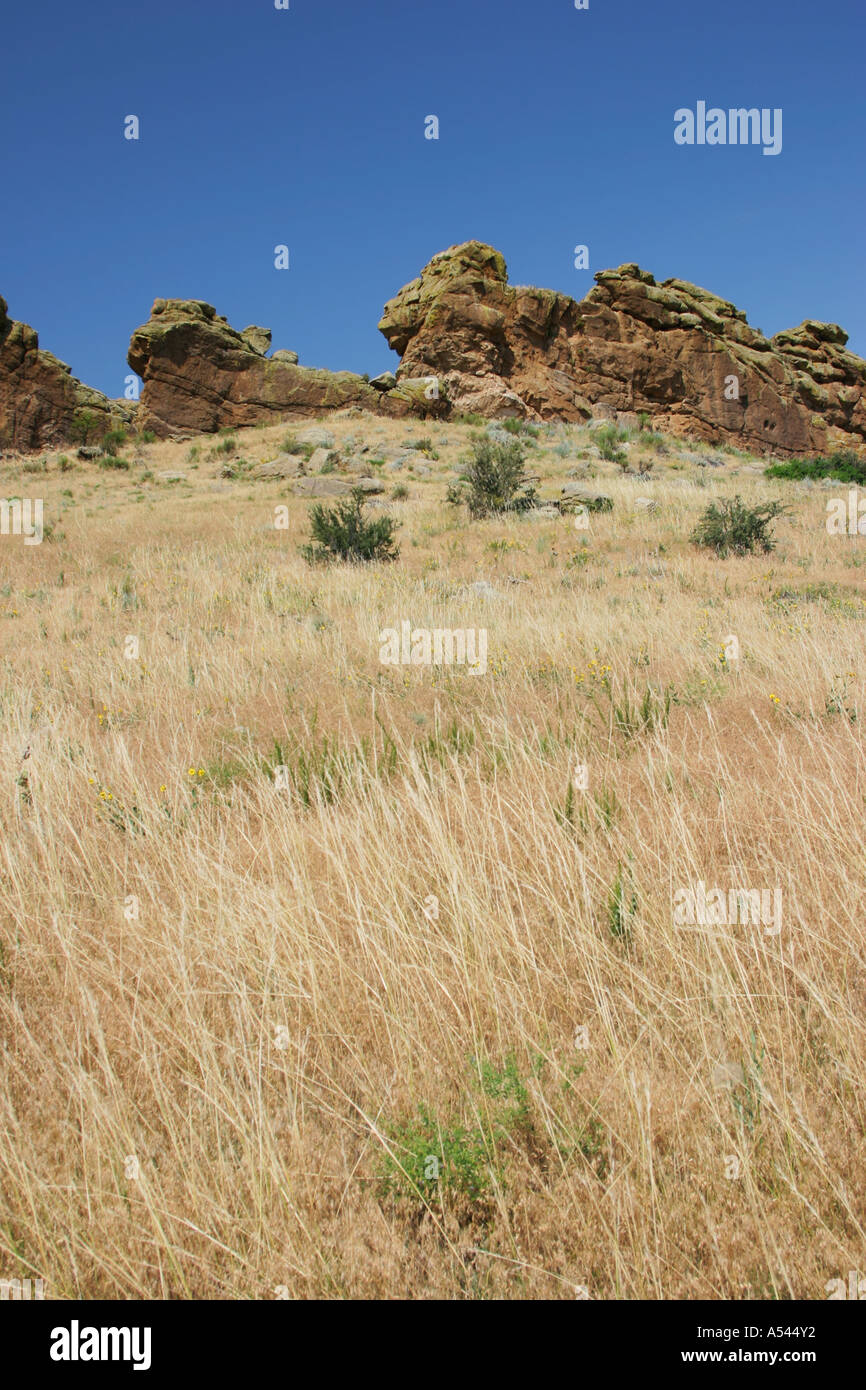Devil’s Backbone loveland Colorado Stock Photo - Alamy