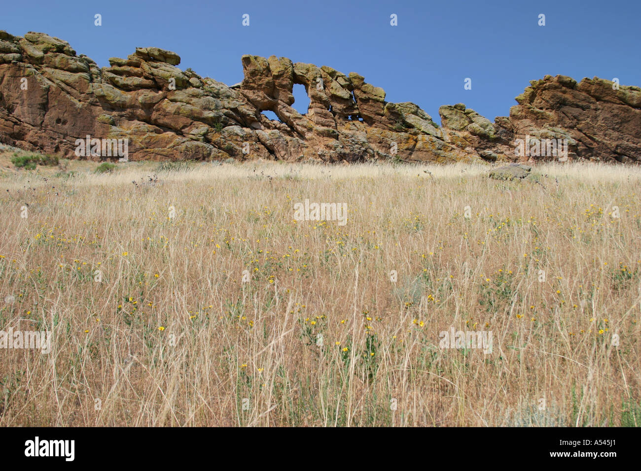Rock formation of Devils Backbone, Loveland Colorado Stock Photo - Alamy