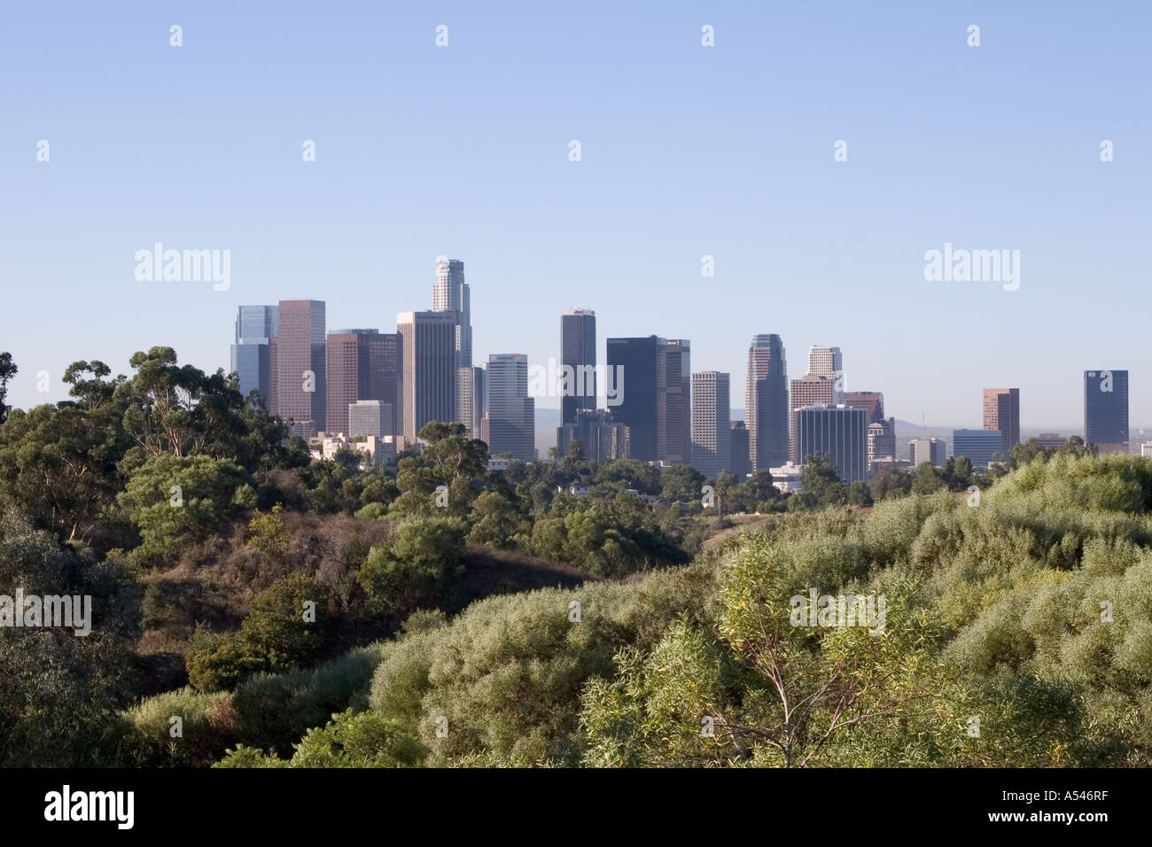Elysian park los angeles hi-res stock photography and images - Alamy
