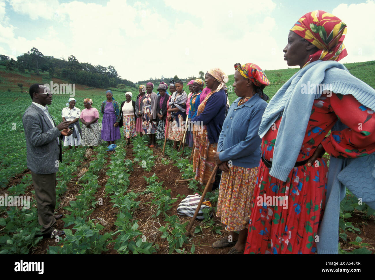 Painet hm1769 kenya agronomist addressing womens farming group kukuyu ...