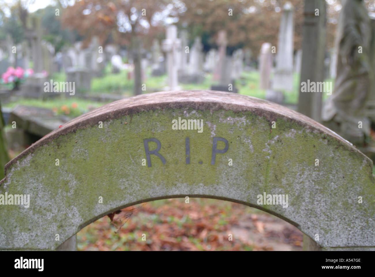 Words on grave hi-res stock photography and images - Alamy