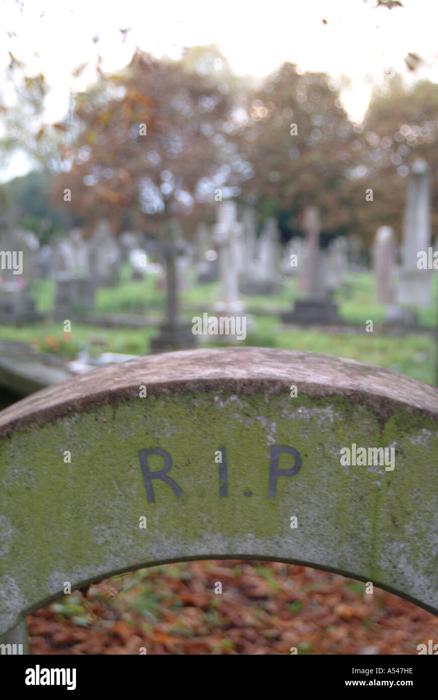 RIP words on a grave at Kensal Green Cemetery Stock Photo - Alamy