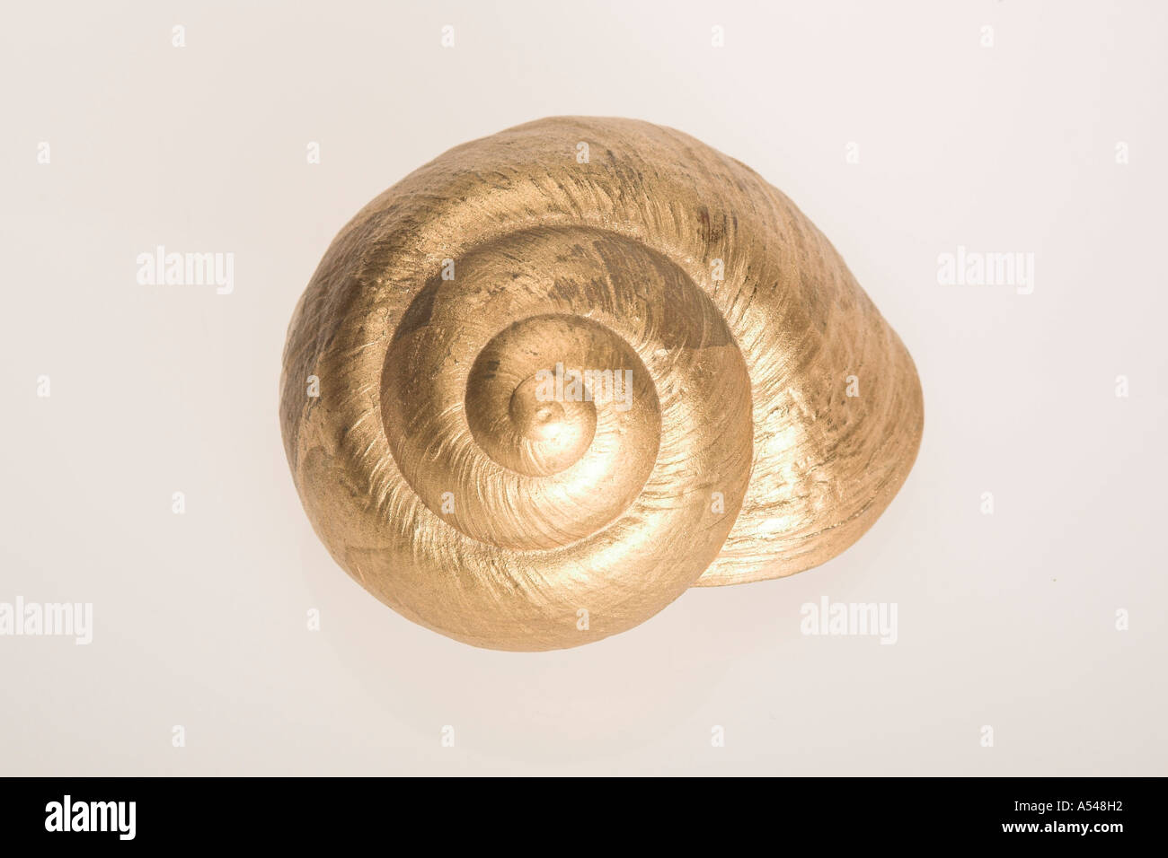 Gold snail hi-res stock photography and images - Alamy