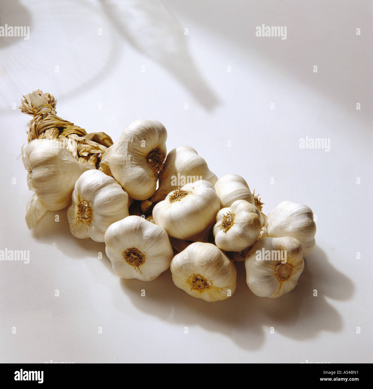 A Garlic Braid Stock Photo - Alamy