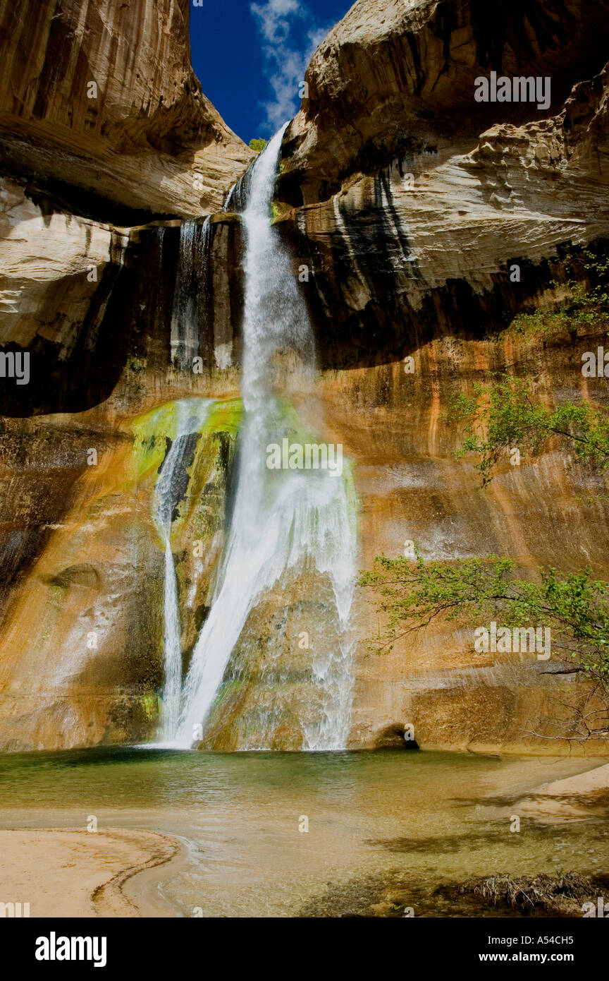 Lower Calf Creek Falls Grand Staircase Escalante National Monument Utah ...