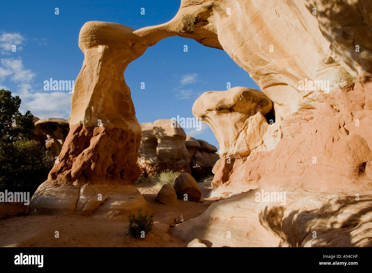 Metate Arch in Devils Garden Grand Staircase Escalante National ...