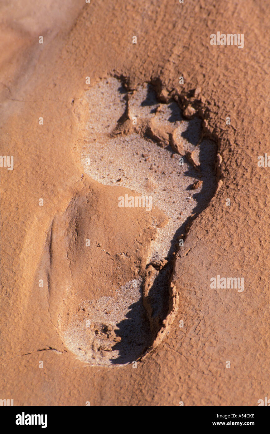 Single footprint in dry creek Stock Photo - Alamy