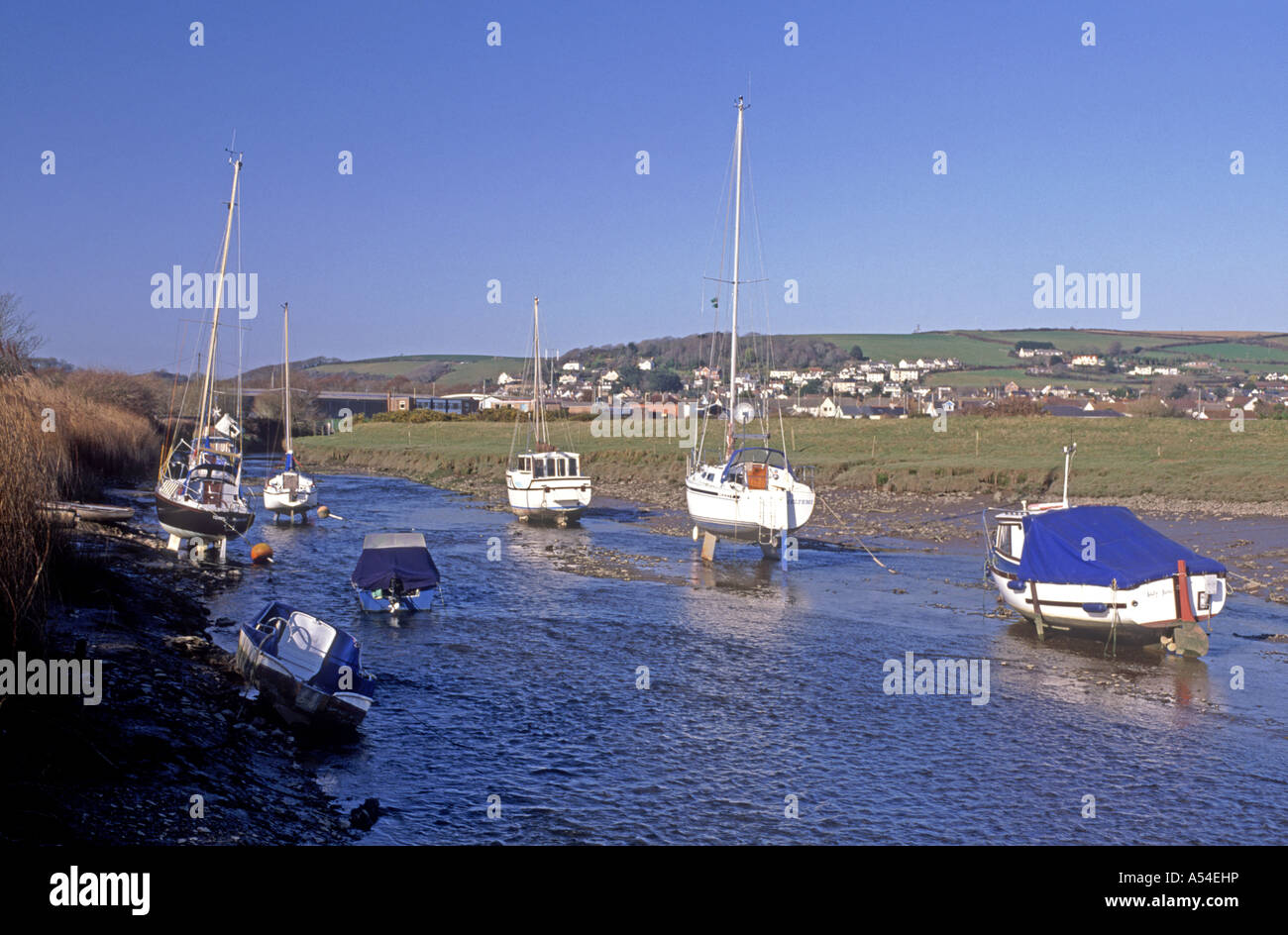Braunton Burrows Barnstable Devon Stock Photo - Alamy