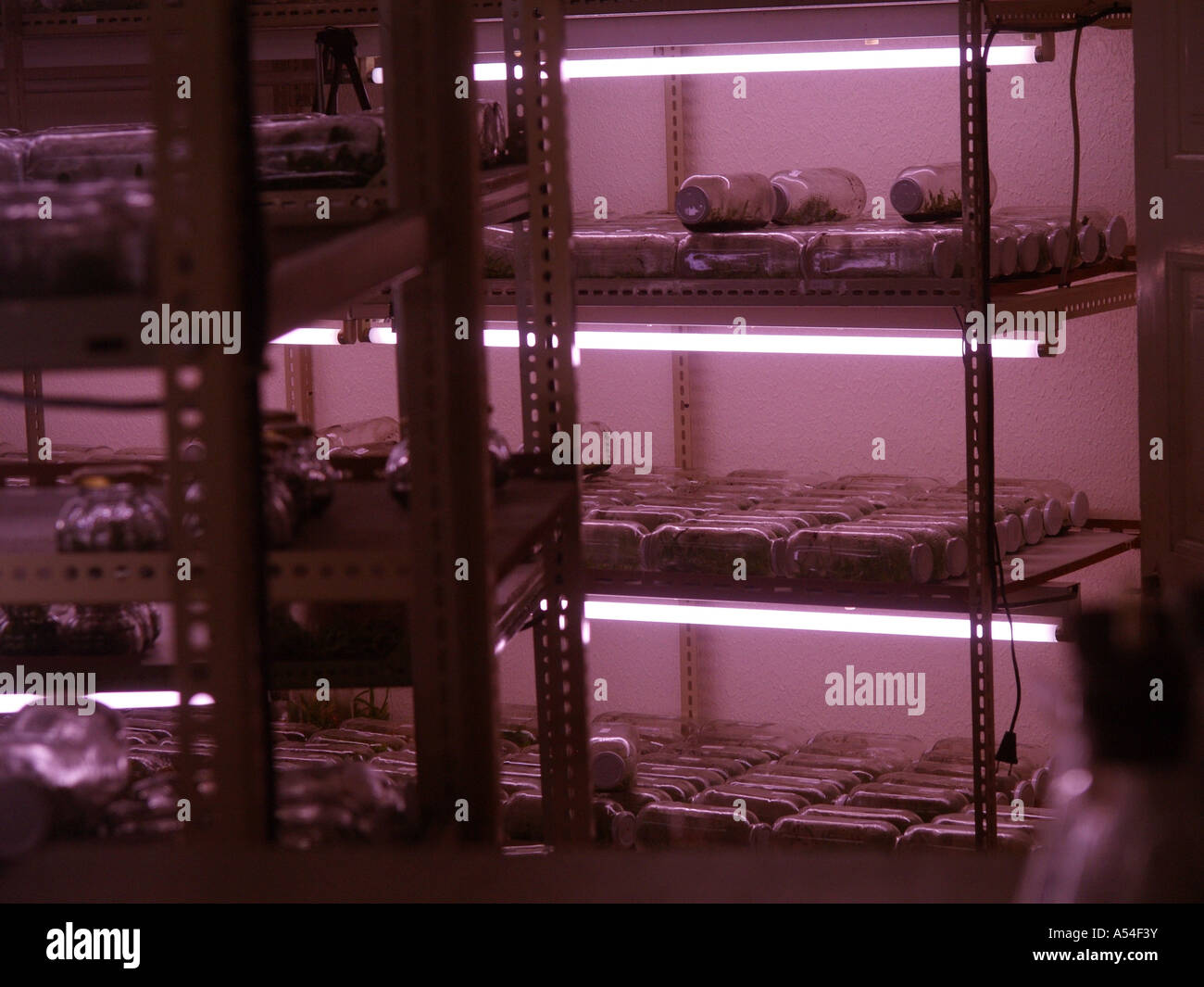 Storeroom laboratory hi-res stock photography and images - Alamy