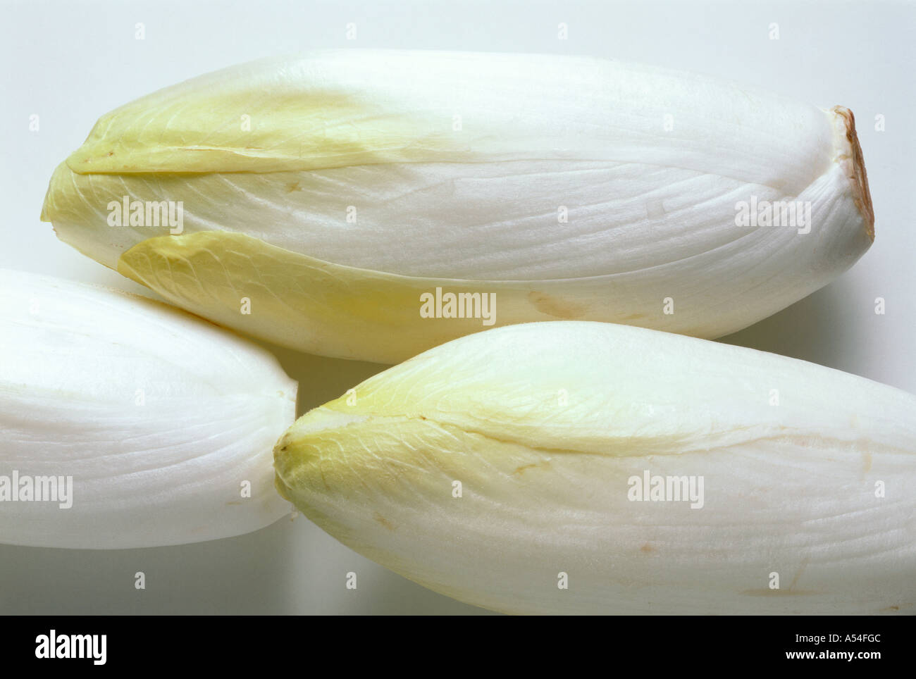 Three Belgian Endives Stock Photo - Alamy
