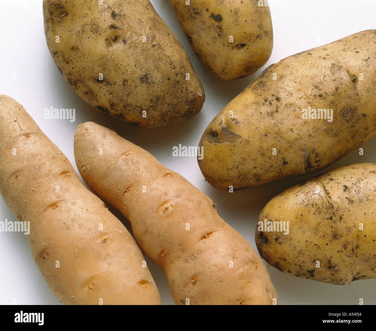 Assorted Kinds of Potatoes Stock Photo - Alamy