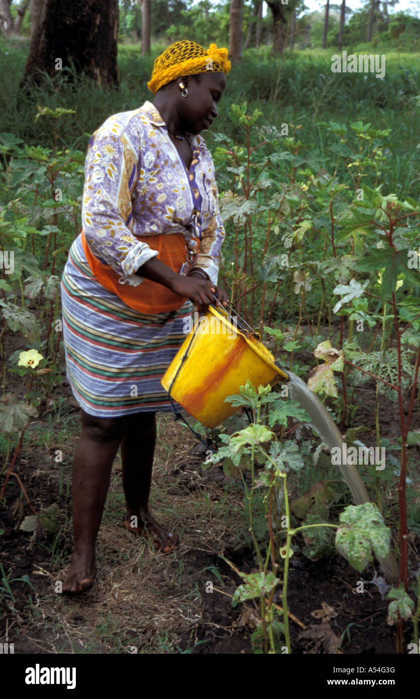 Bana village hi-res stock photography and images - Alamy