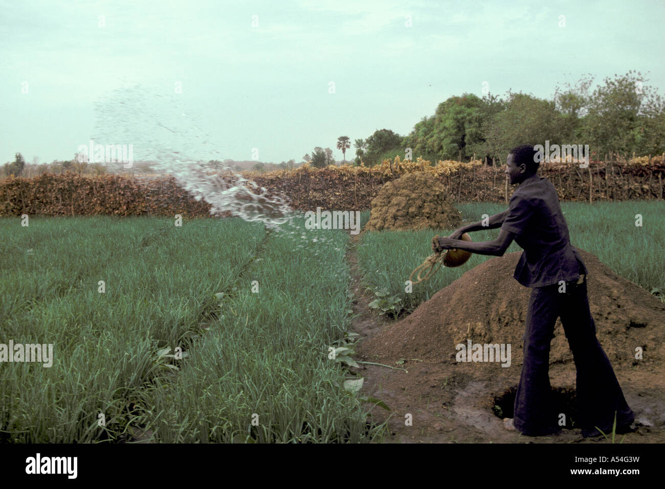 Man emerging water hi-res stock photography and images - Alamy