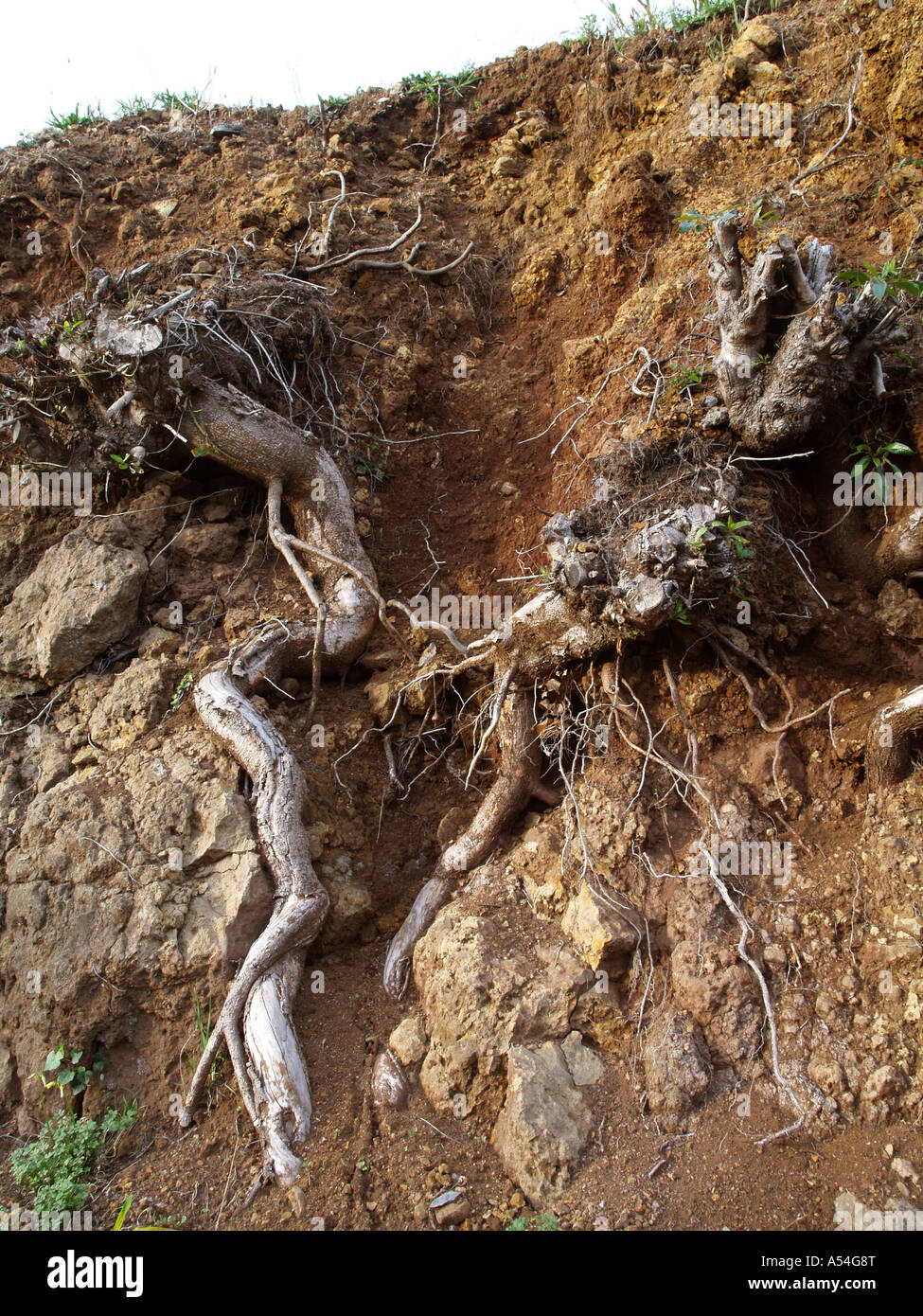 Beaten erosion hi-res stock photography and images - Alamy