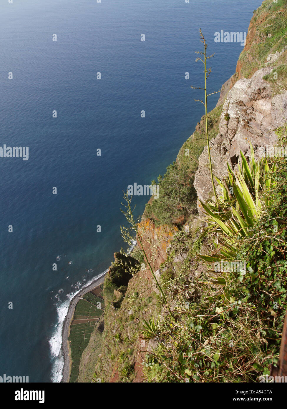 cliff line Cabo Girao Stock Photo - Alamy