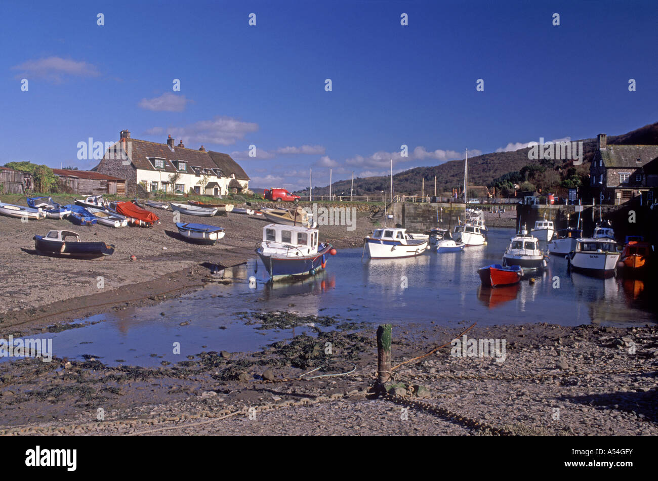 Salt marshes submerged forest in 1052 the saxon king hi-res stock ...