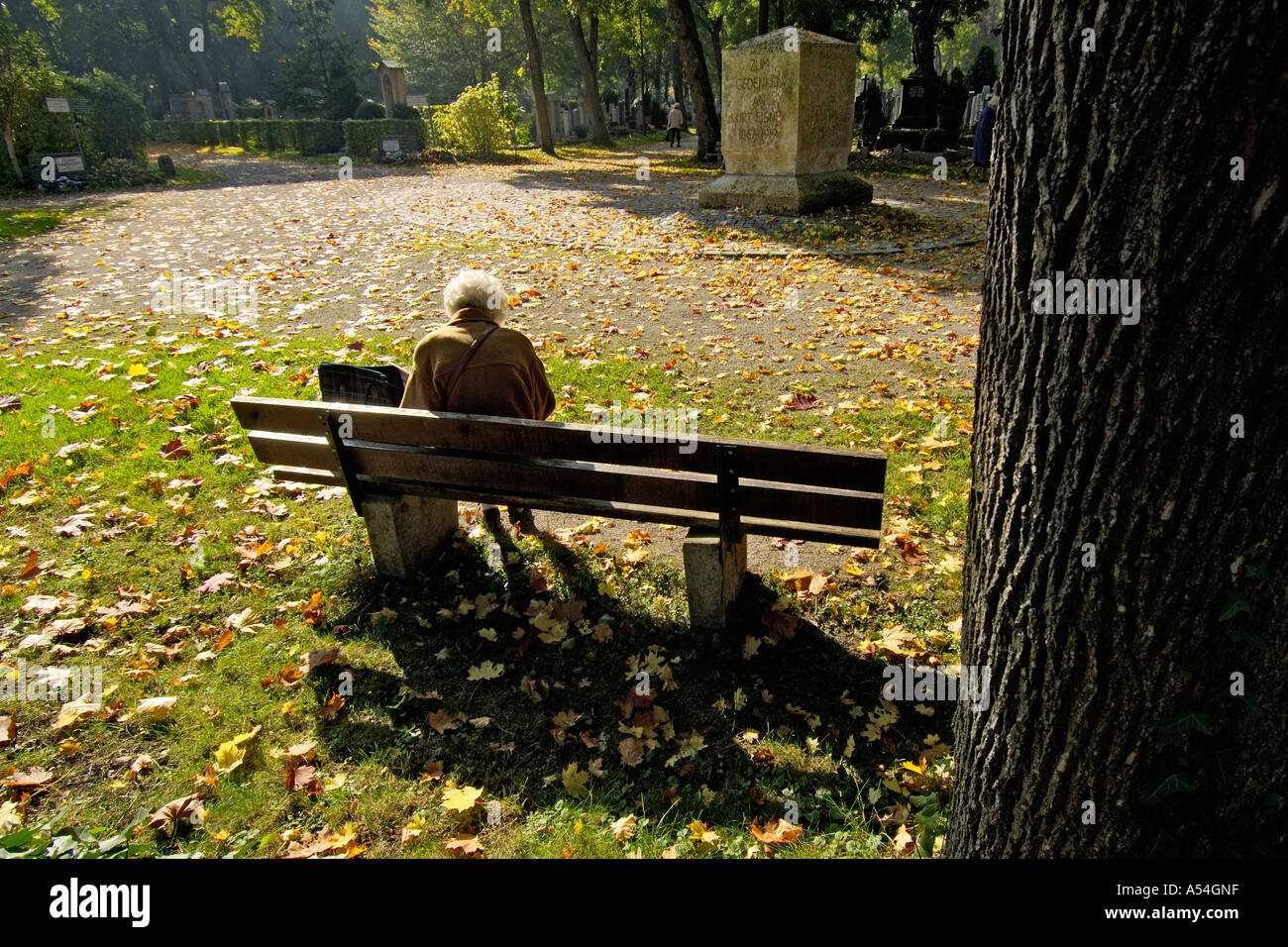 Old lady woman on park bench on east cemetery Munich Bavaria Germany ...