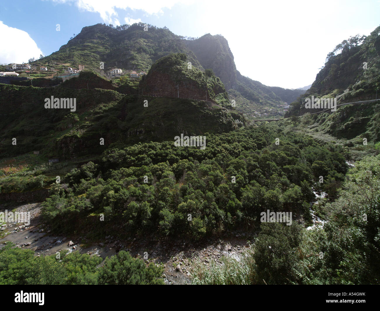 Fluvial topography with rank vegetation, plants of Madeira Stock Photo ...