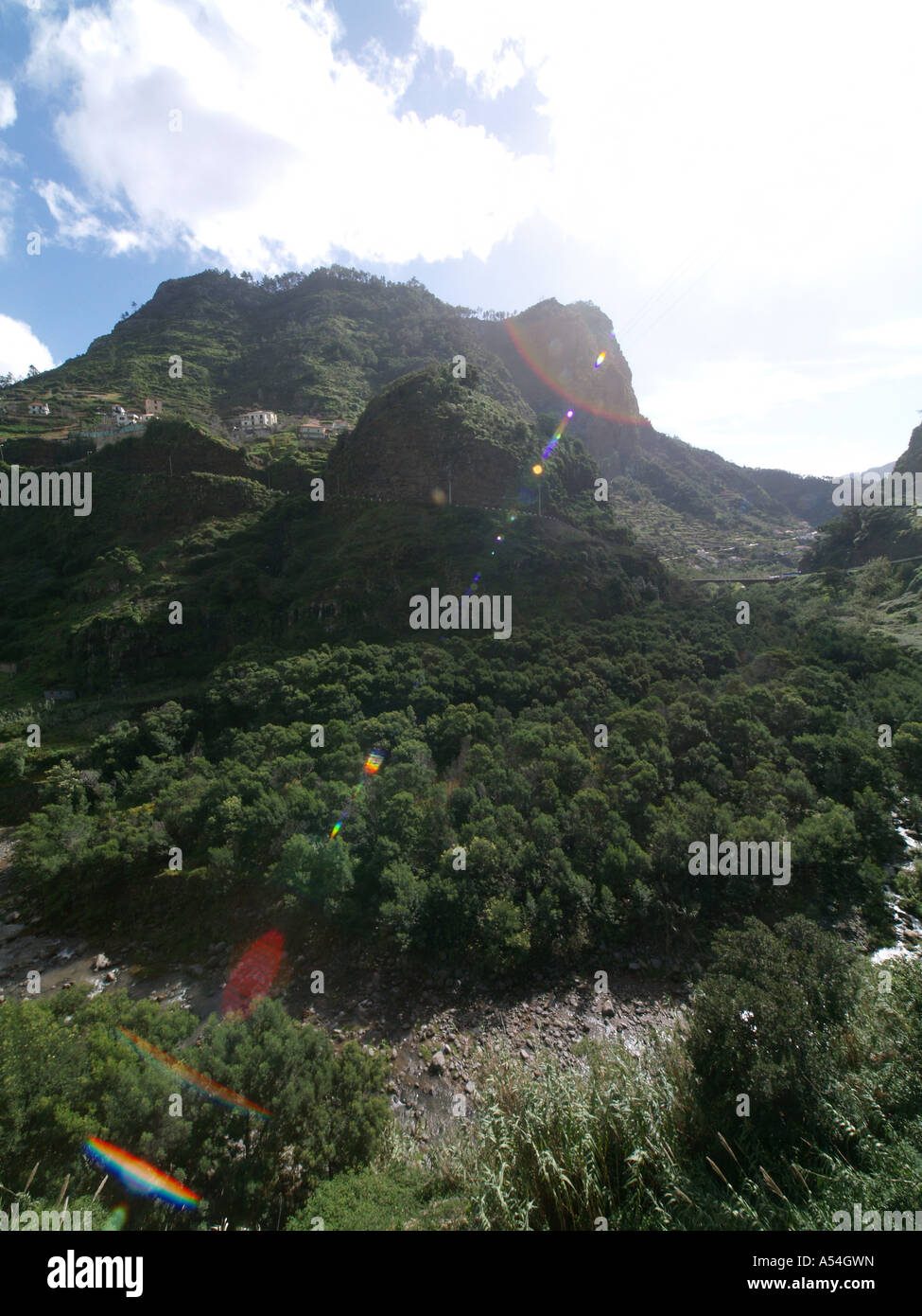 Fluvial topography with rank vegetation, plants of Madeira Stock Photo ...