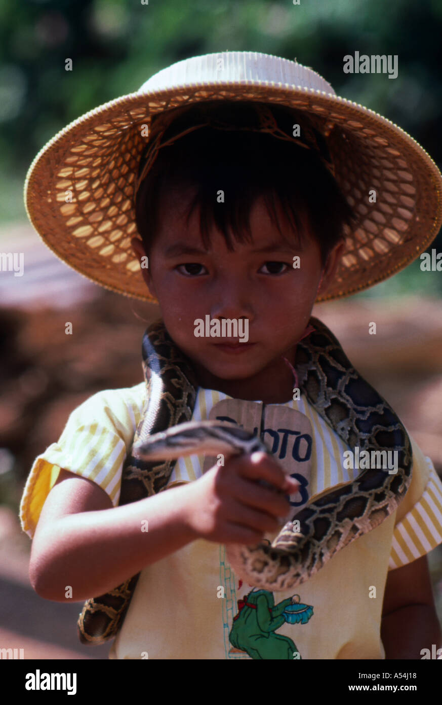 Thai boy with python Stock Photo - Alamy