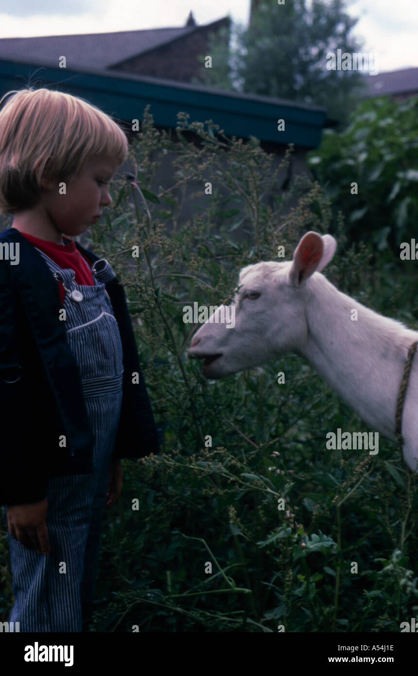 Boy and goat Stock Photo - Alamy