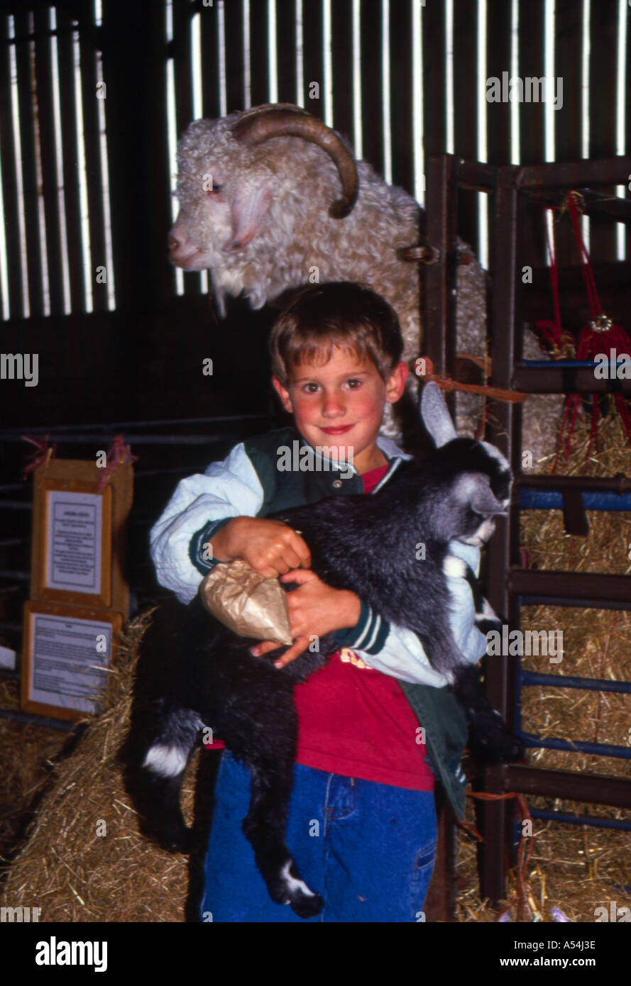 Boy on the animal farm Stock Photo - Alamy