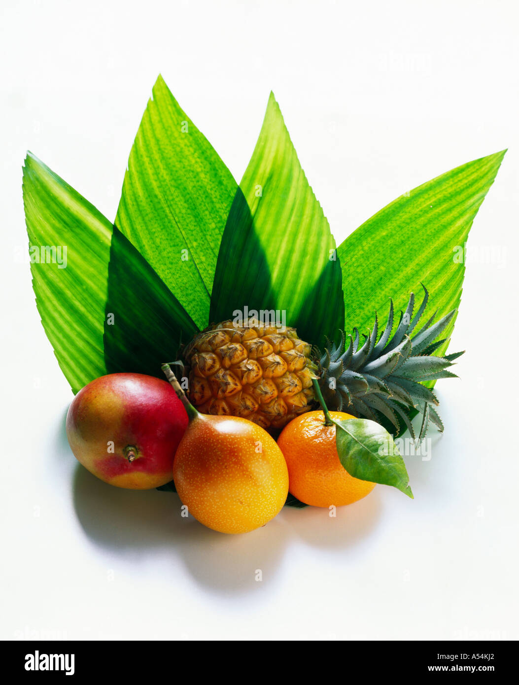 Granadillo hi-res stock photography and images - Alamy