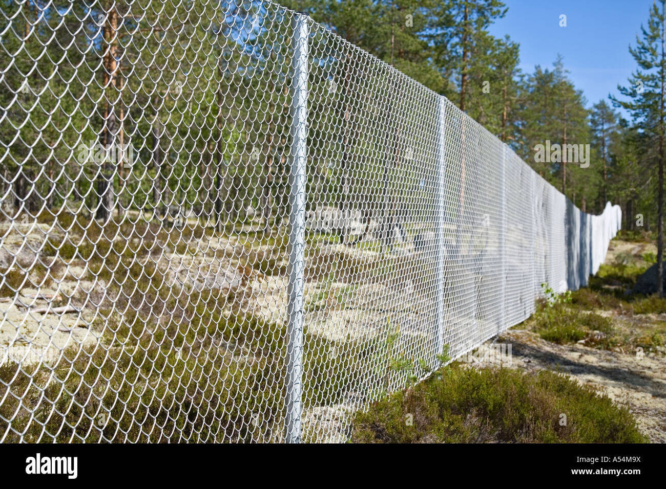 New shiny metallic wire-netting fence in the middle of the forest ...