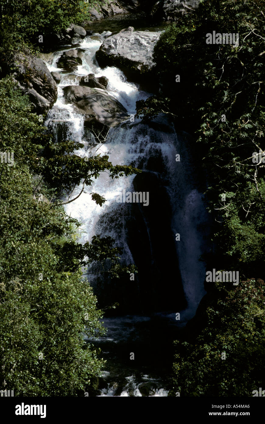 Chirripo Falls Chirripo National Park Costa Rica Stock Photo - Alamy