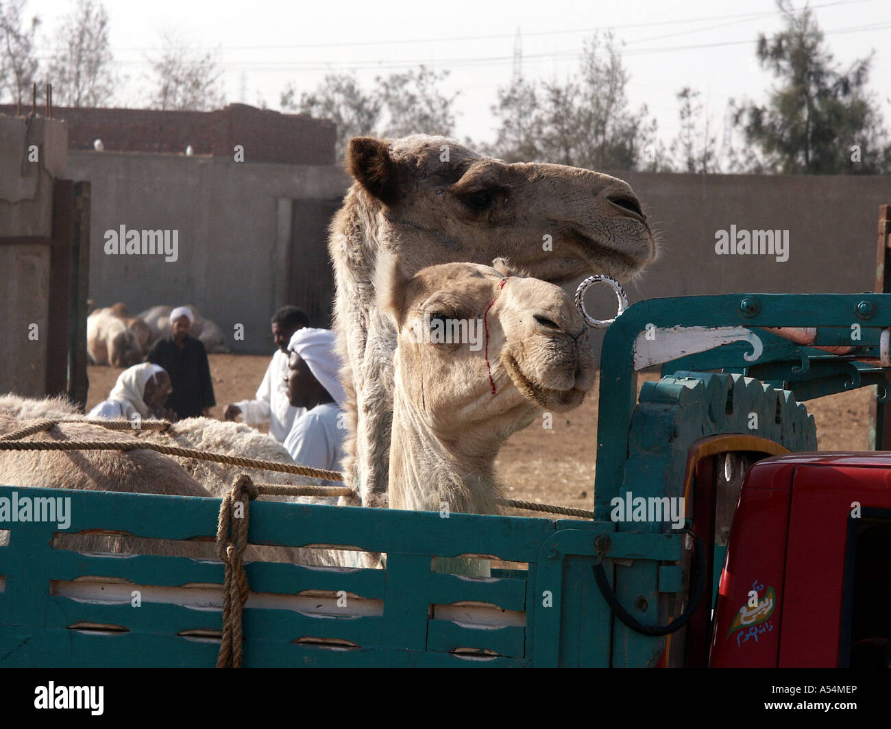 Less developed country hi-res stock photography and images - Alamy