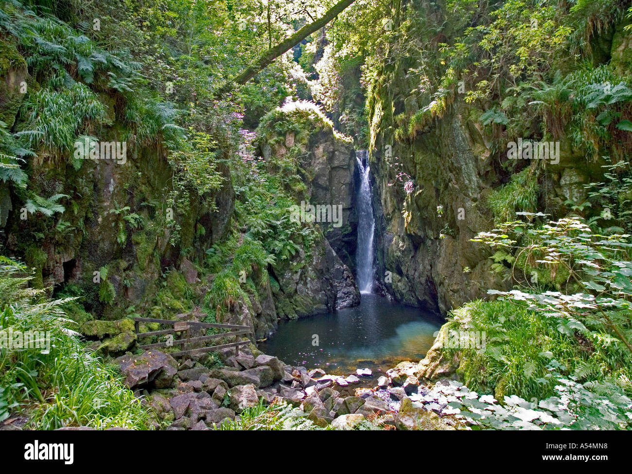 Dalegarth for Booth (Boot), GBR, 20. Aug. 2005 - Stanley Ghyll ...
