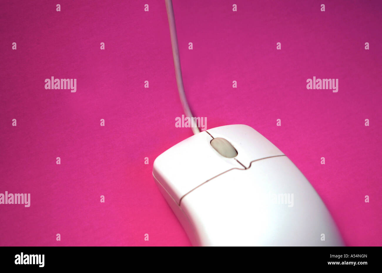 White computer mouse against pink screen Stock Photo - Alamy