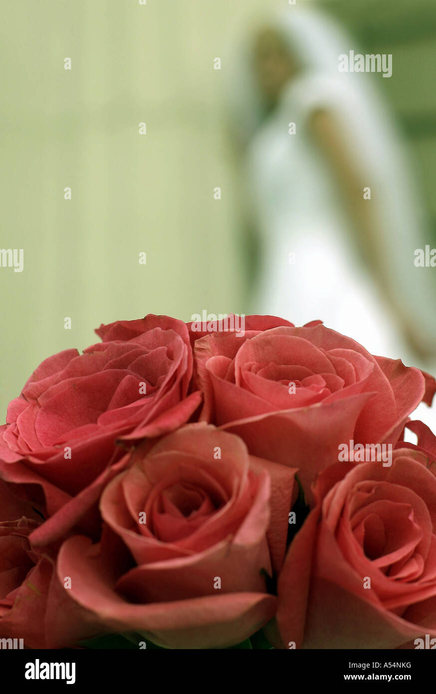 pink roses in a bouquet with the bride standing blurred in the ...