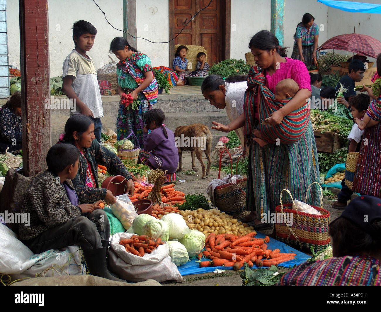 Painet ip1781 guatemala weekly mayan market san lucas toliman country ...