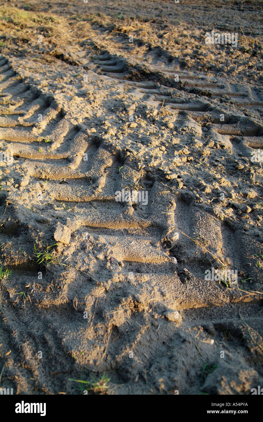 Field trace hi-res stock photography and images - Alamy