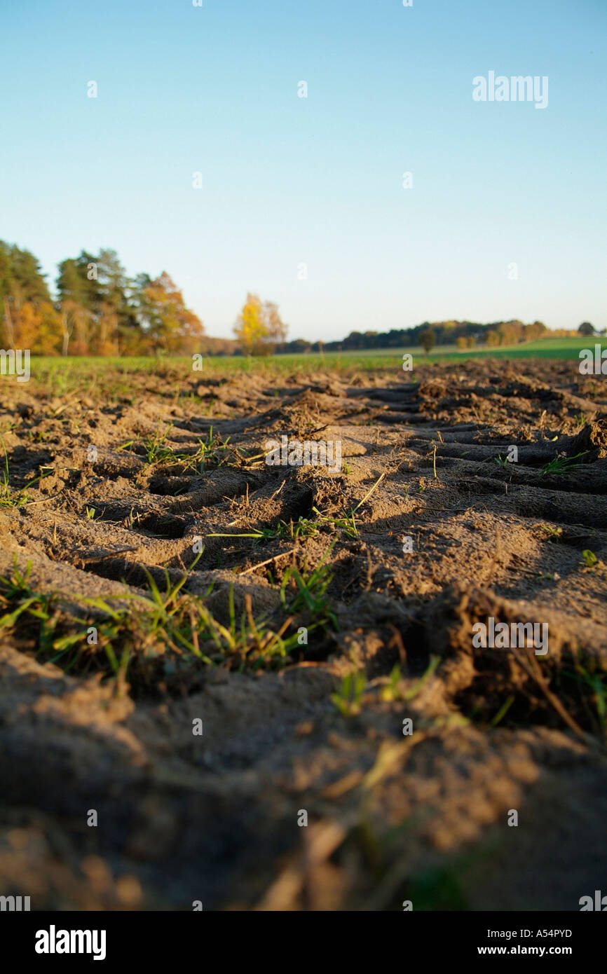 Field trace hi-res stock photography and images - Alamy
