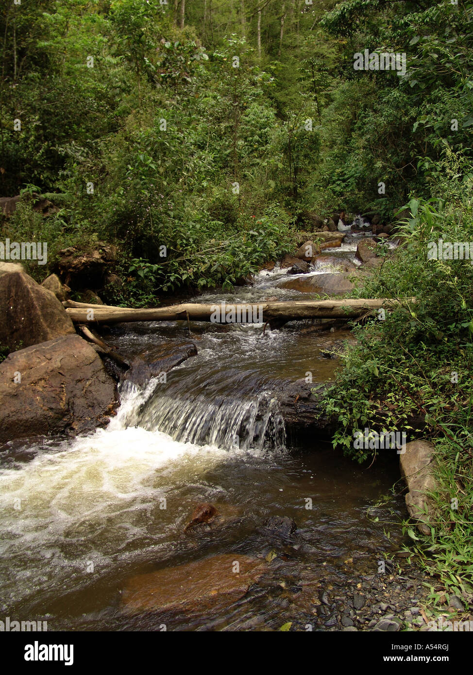 Danli honduras hi-res stock photography and images - Alamy