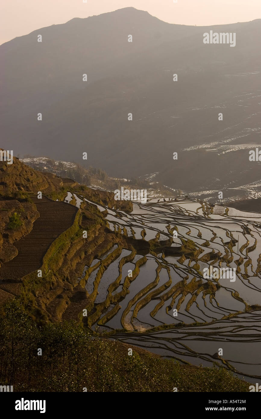 View of rice terraces Yuanyang China Stock Photo - Alamy