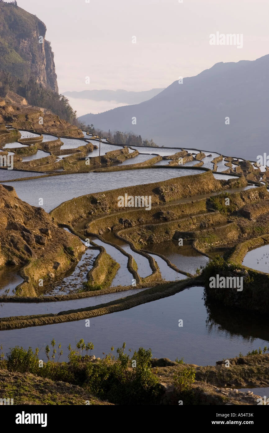 View of rice terraces Yuanyang China Stock Photo - Alamy