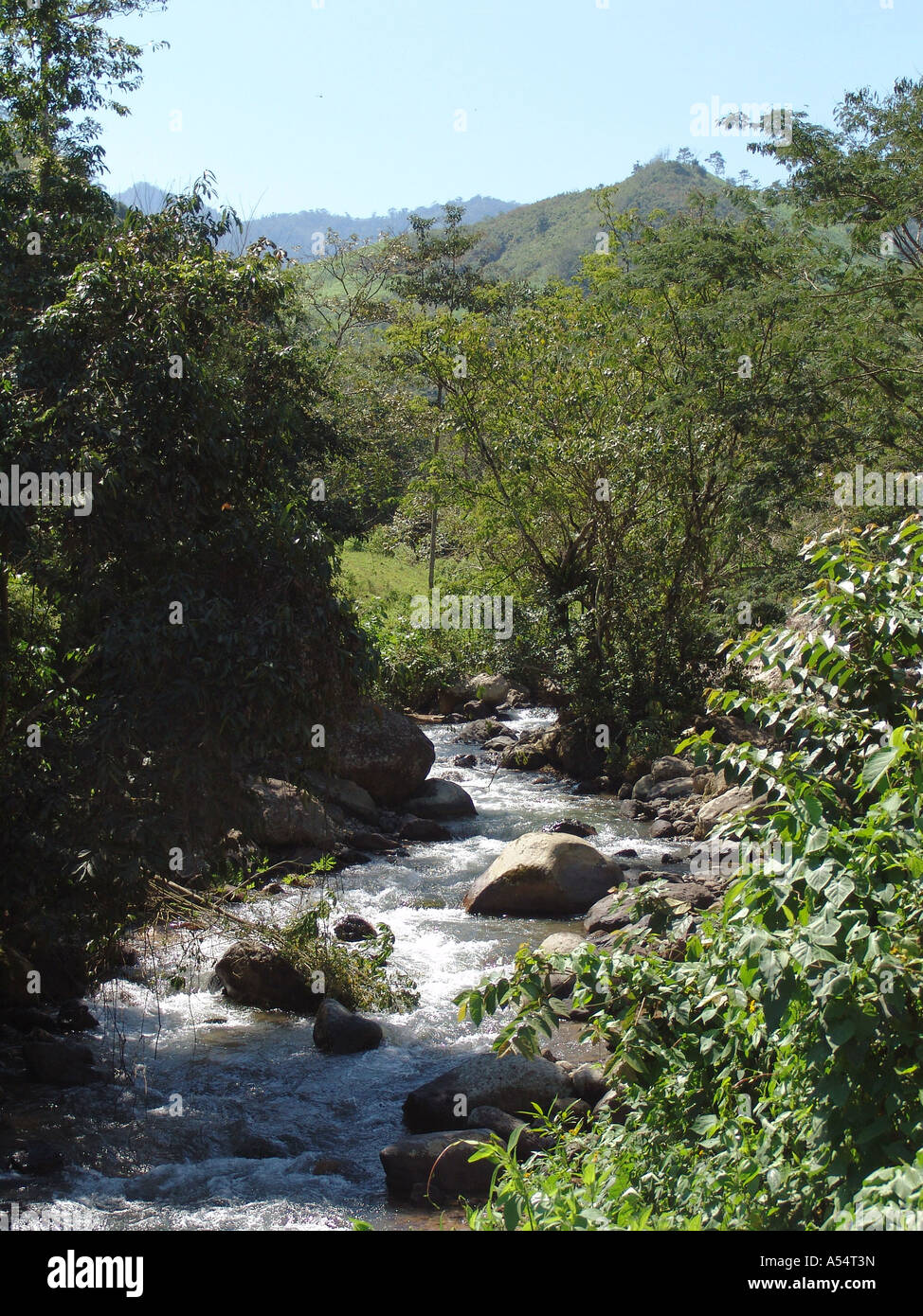 Painet ip1923 honduras pristine mountain stream agua caliente copan ...