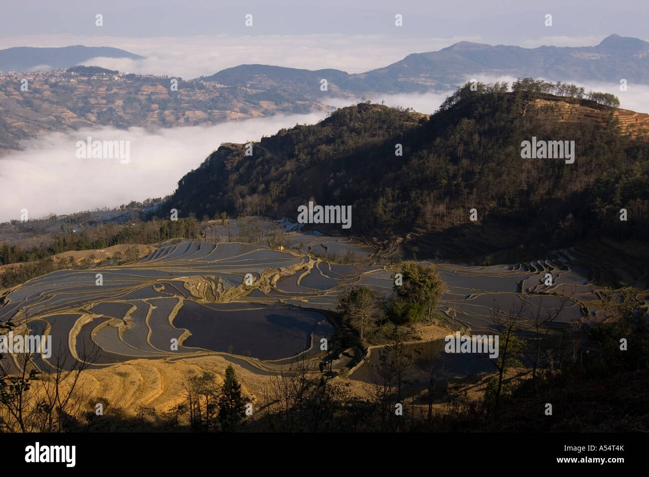 View of rice terraces Yuanyang China Stock Photo - Alamy