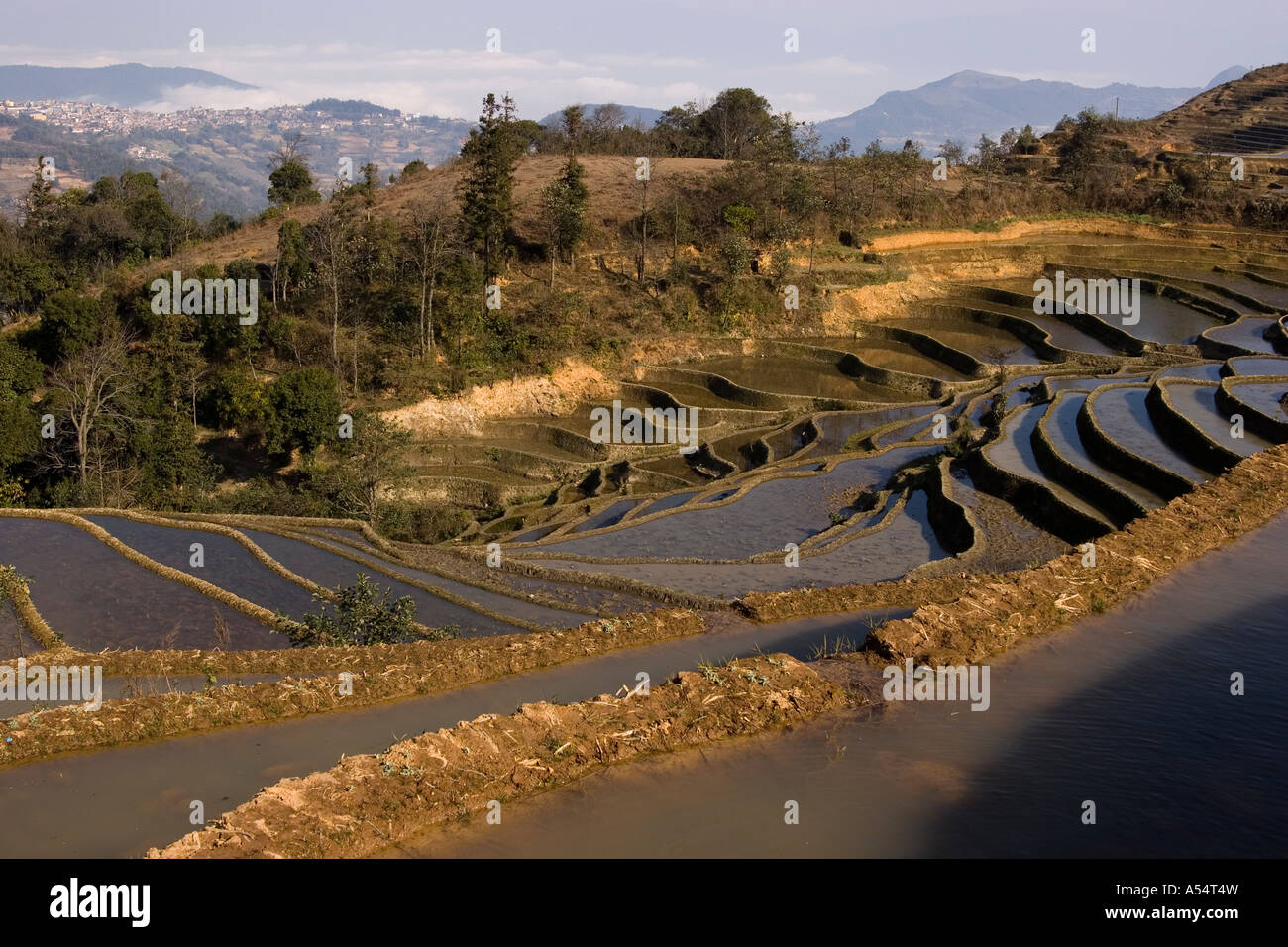 View of rice terraces Yuanyang China Stock Photo - Alamy