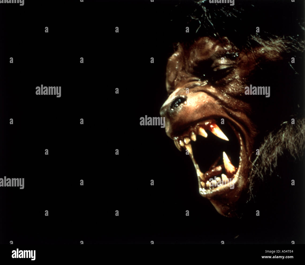 Horror movie 1981 hi-res stock photography and images - Alamy