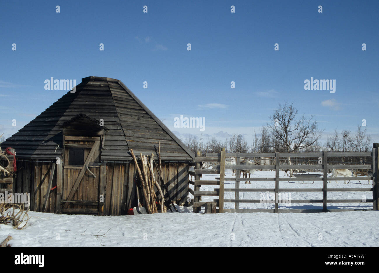 A Goahti the traditional home of the Lappish Lapps Sami people of ...