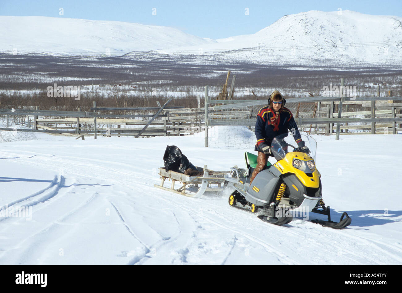 Nils Ante Kuhumen Sami Lapp reindeer herder on his snowmobile in the ...