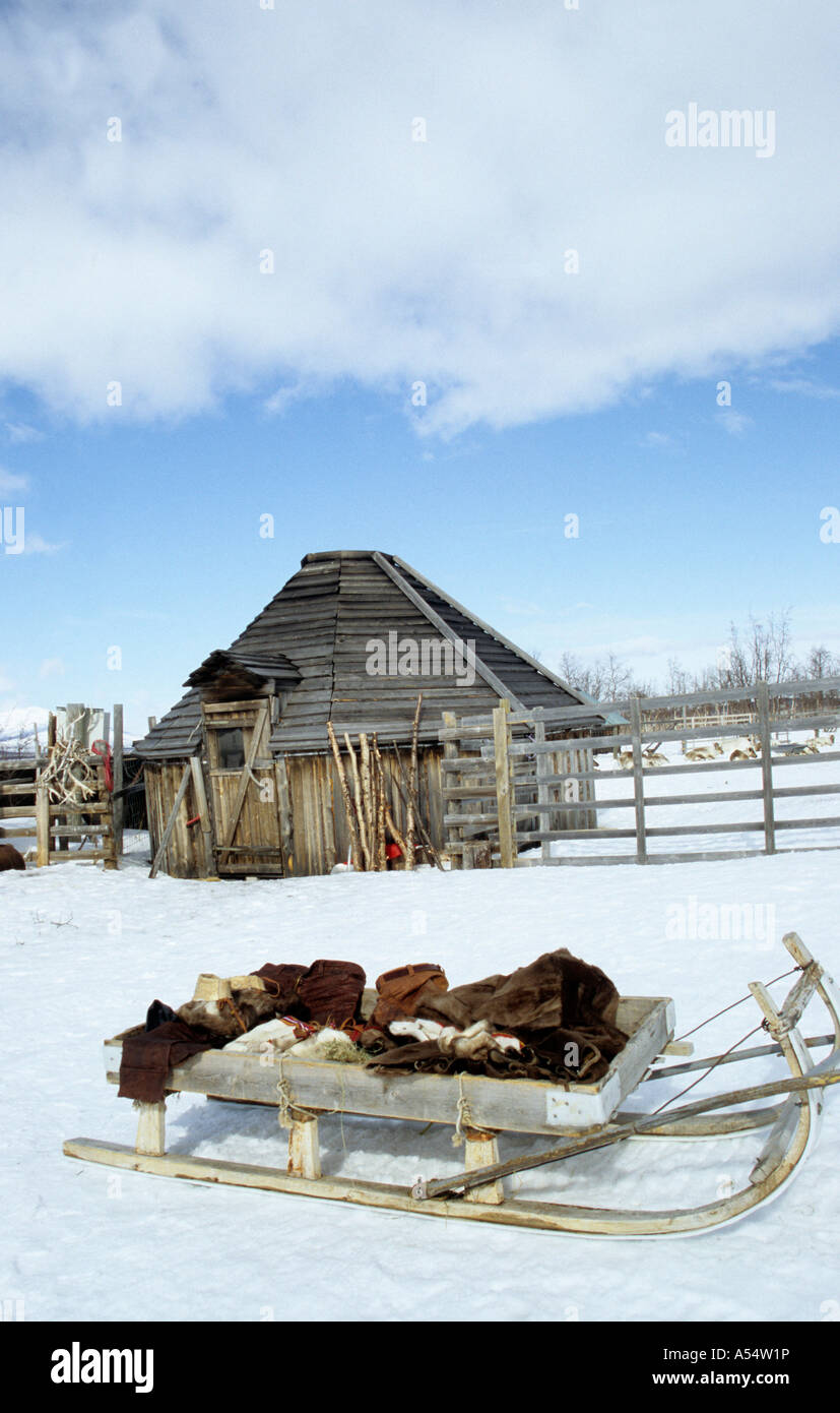 Sami Lapp reindeer herder s traditional goahti in Swedish Lapland ...