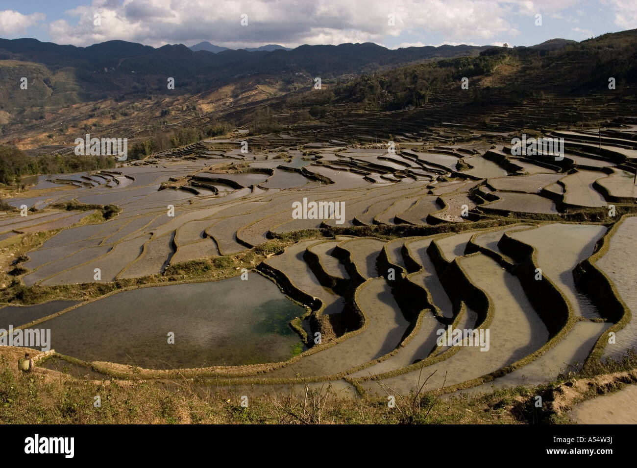 View of rice terraces Yuanyang China Stock Photo - Alamy