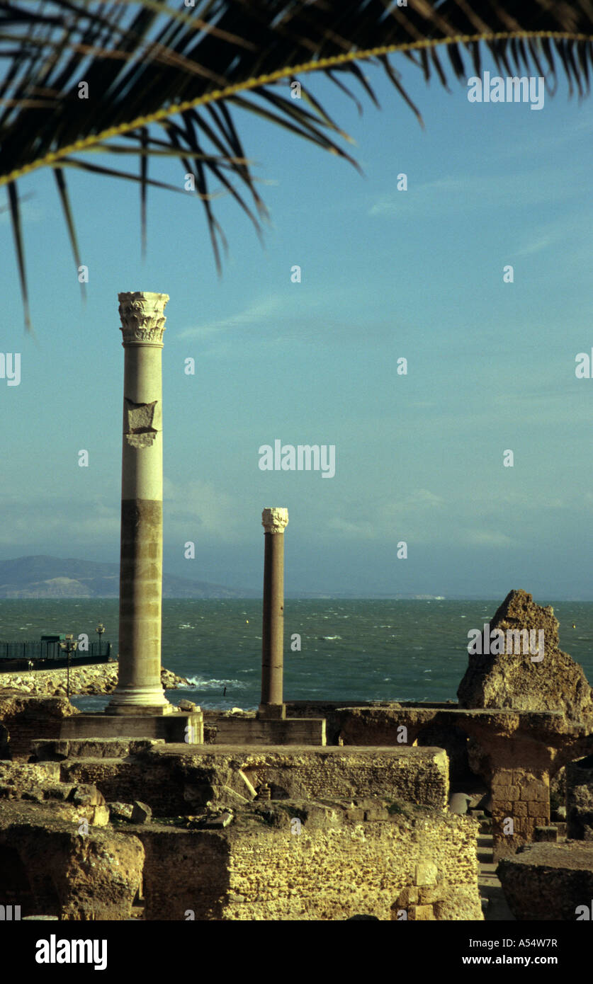 The ancient city of Carthage on the coast of Tunisia Stock Photo - Alamy