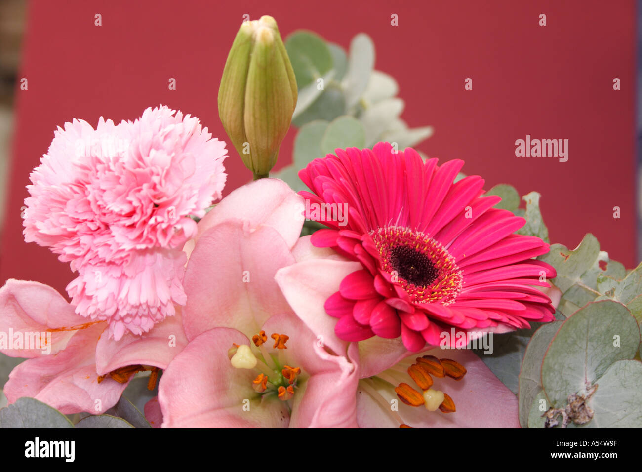 A BUNCH OF LILIUM GERBERA AND CARNATION FLOWERS Stock Photo - Alamy